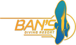 Bans Diving Resort, Bester Tauchkurs Koh Tao, Deutsche Tauchschule